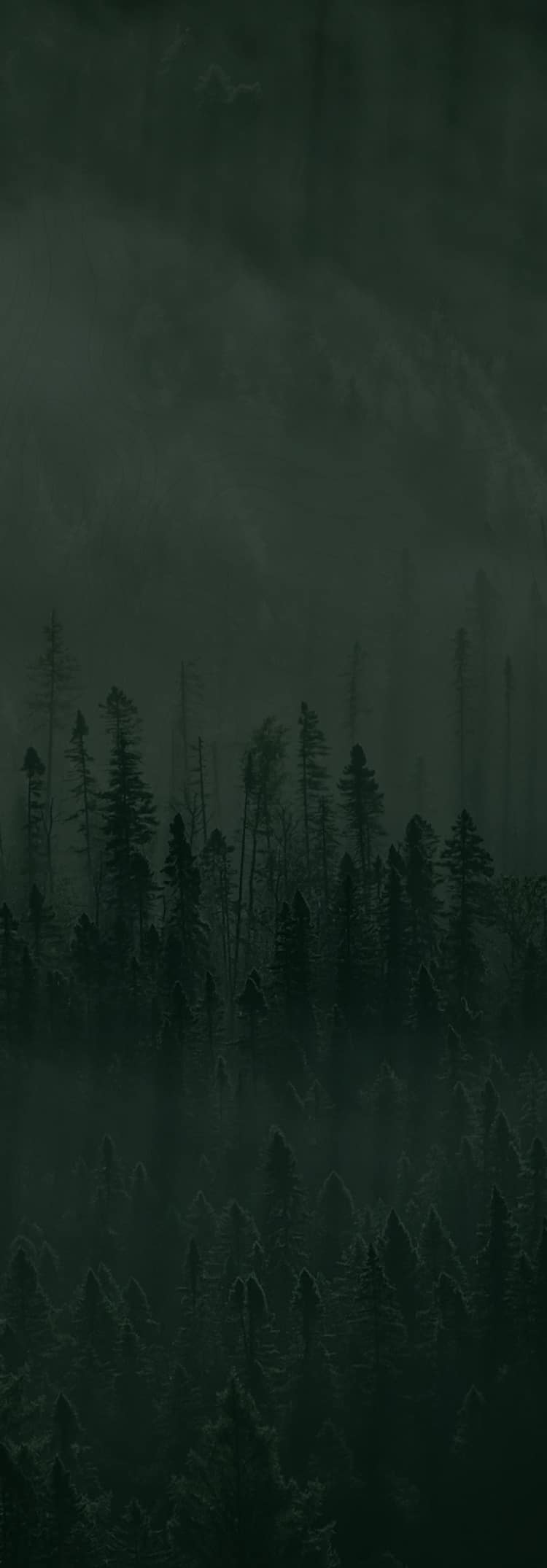 Whitetail Rut Map : A HuntStand Exclusive