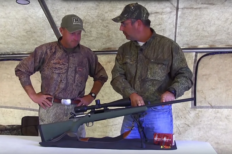 Review: Ruger American Predator Rifle - HuntStand