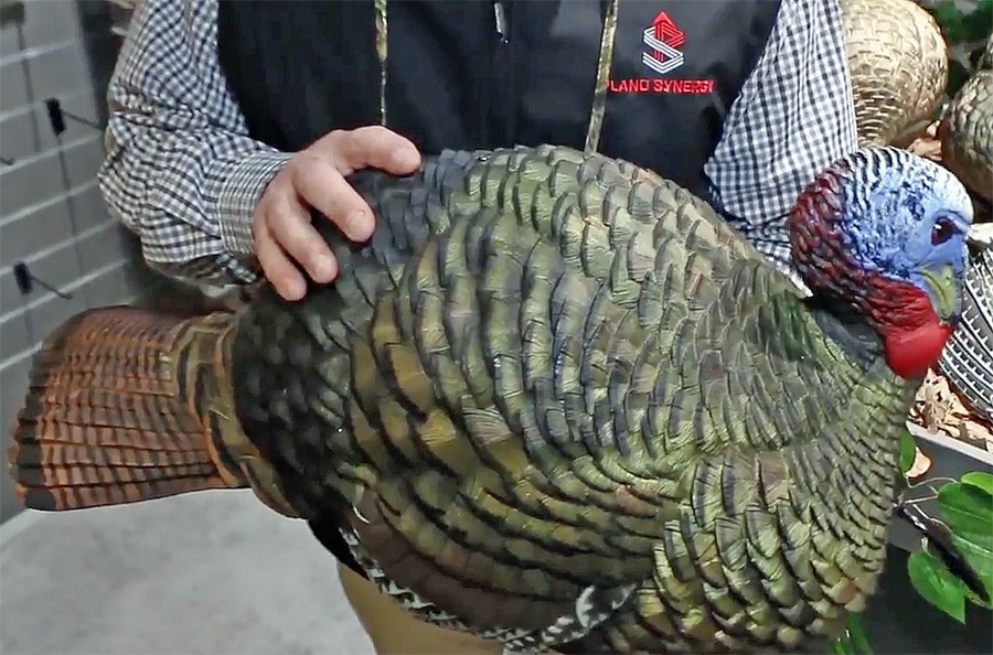 Killer Realism: Avian-X LCD 1/2-Strut Jake [New] - HuntStand